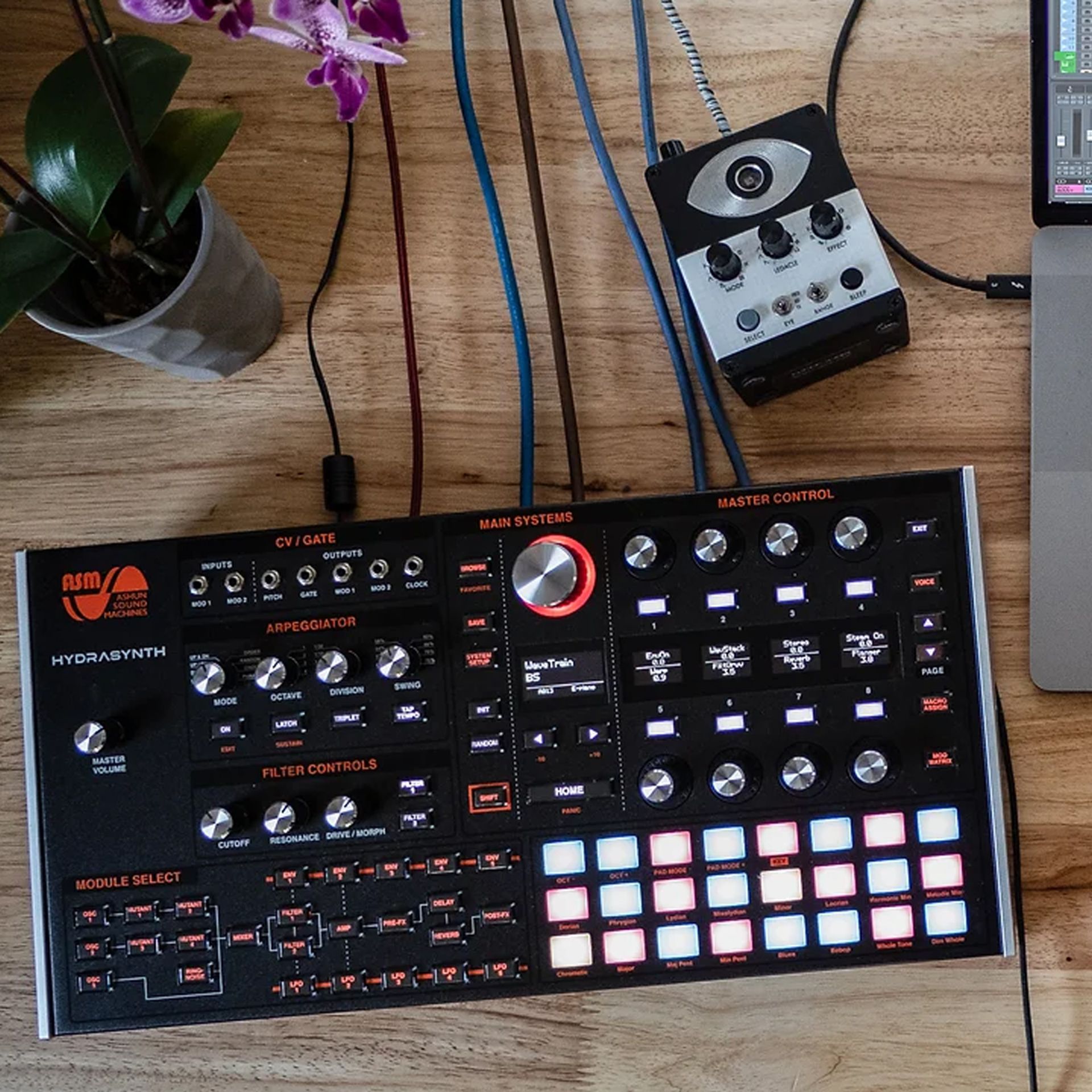 MODULO SINTETIZADOR ASM HYDRASYNTH DESKTOP - X5Music